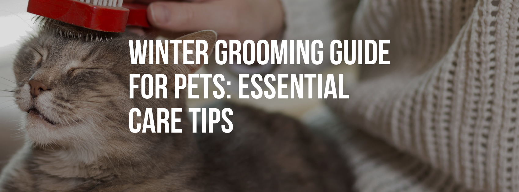 Winter Grooming Guide for Pets: Essential Care Tips – Healthy Animals 4Ever