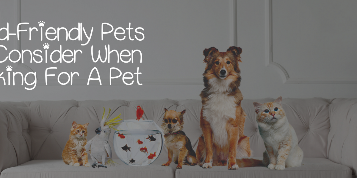 5 KID-FRIENDLY PETS TO CONSIDER WHEN LOOKING FOR A PET — Healthy ...