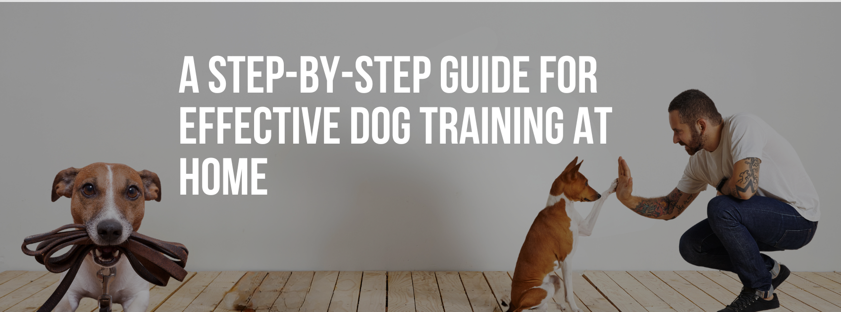 A Step-By-Step Guide for Effective Dog Training At Home – Healthy ...