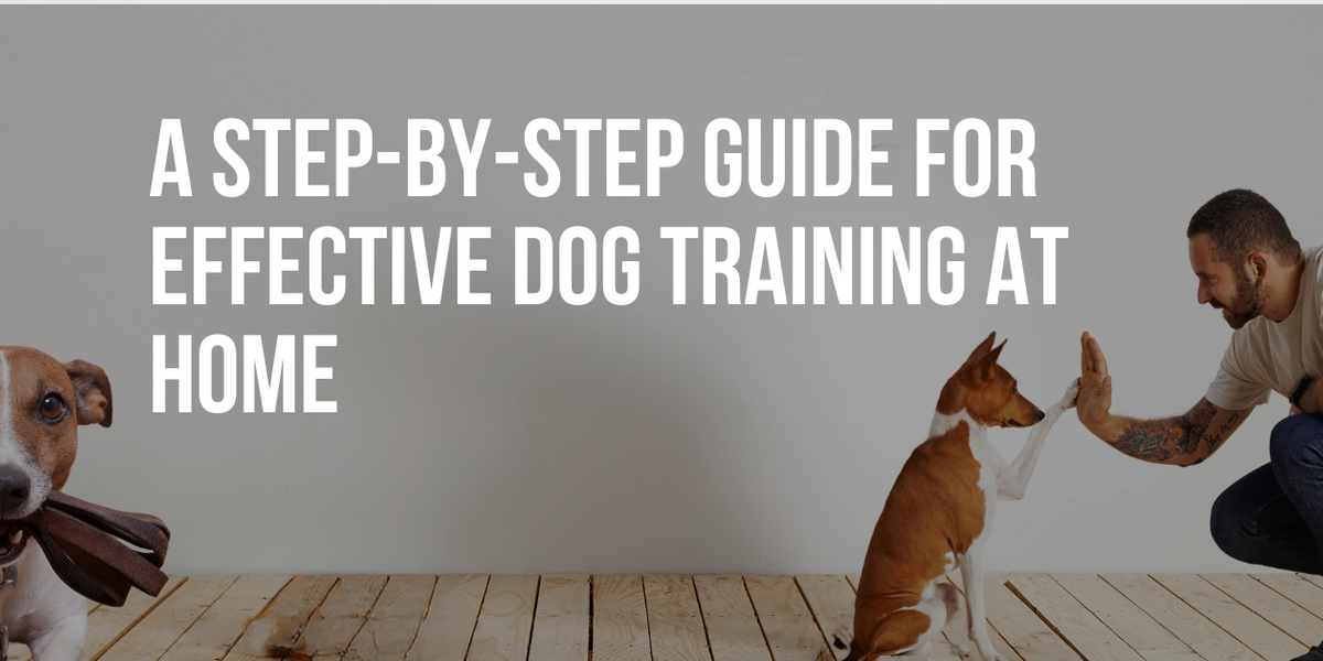 A Step-By-Step Guide for Effective Dog Training At Home — Healthy ...