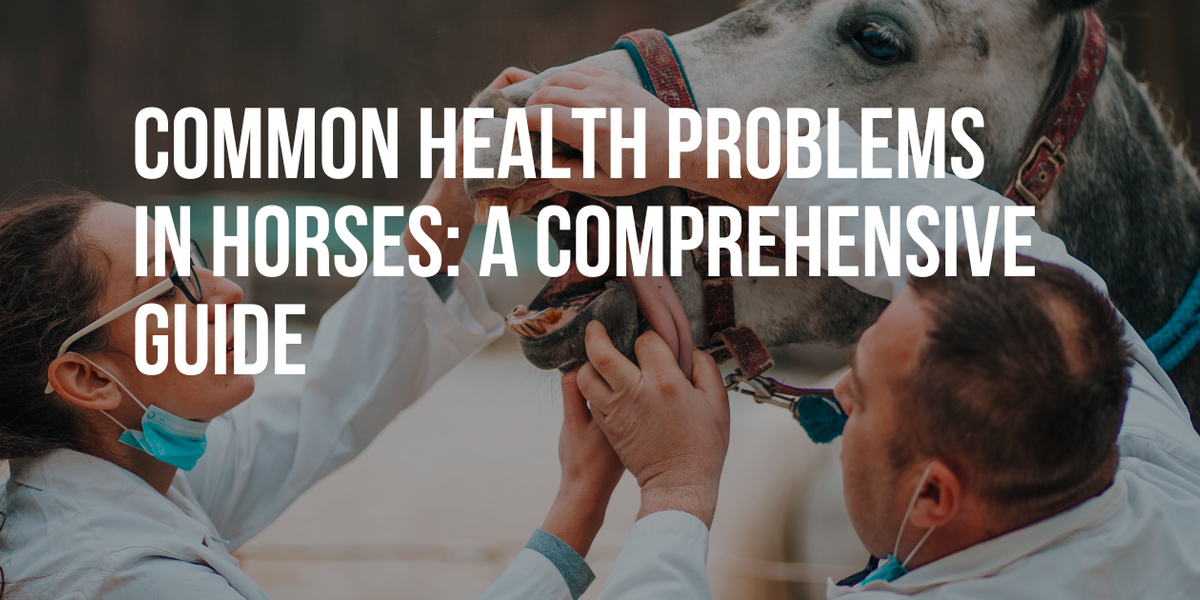 Common Health Problems in Horses: A Comprehensive Guide — Healthy ...