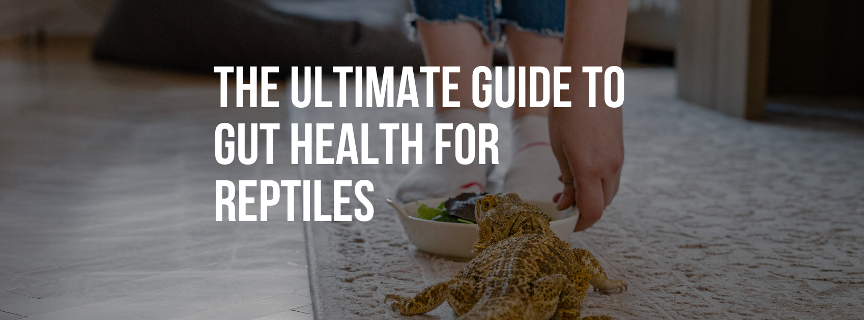 The Ultimate Guide to Gut Health for Reptiles – Healthy Animals 4Ever