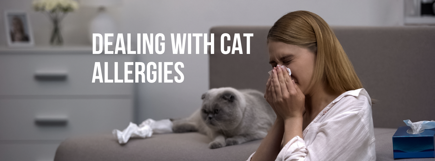 DEALING WITH CAT ALLERGIES – Healthy Animals 4Ever