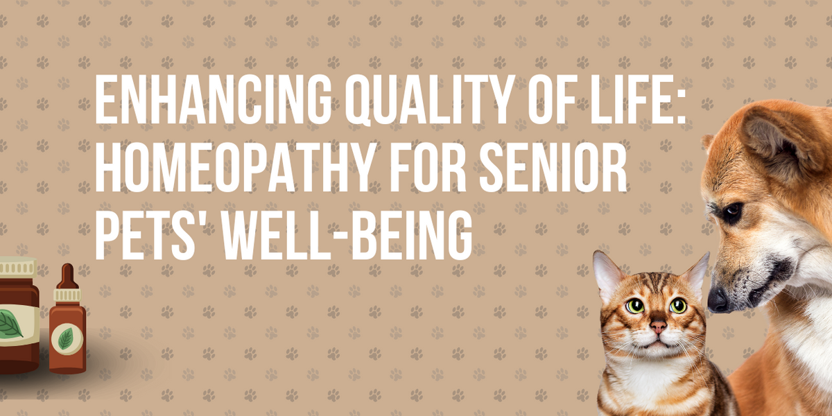 Enhancing Quality of Life: Homeopathy for Senior Pets' Well-being ...
