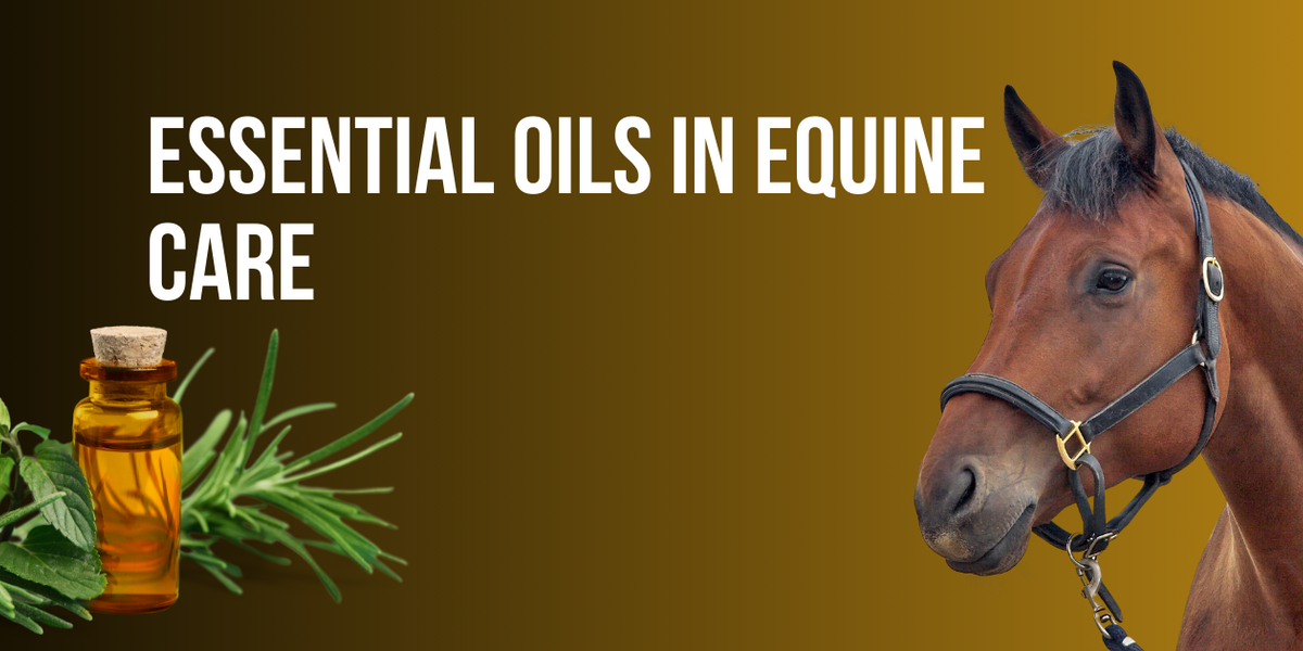 Essential Oils in Equine Care — Healthy Animals 4Ever