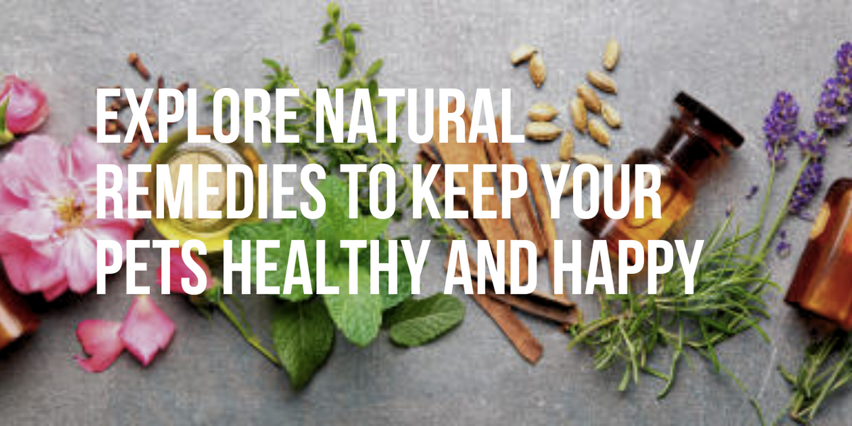 Explore Natural Remedies to Keep Your Pets Healthy and Happy — Healthy ...