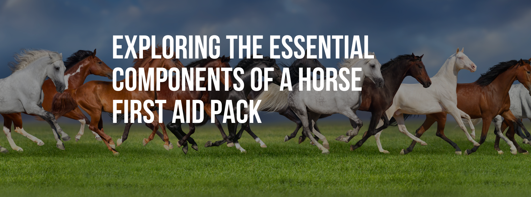 Exploring the Essential Components of a Horse First Aid Pack – Healthy ...