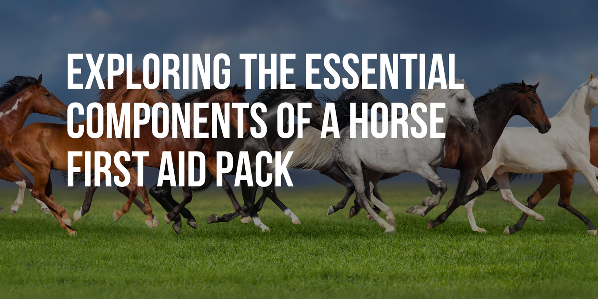Exploring the Essential Components of a Horse First Aid Pack — Healthy ...