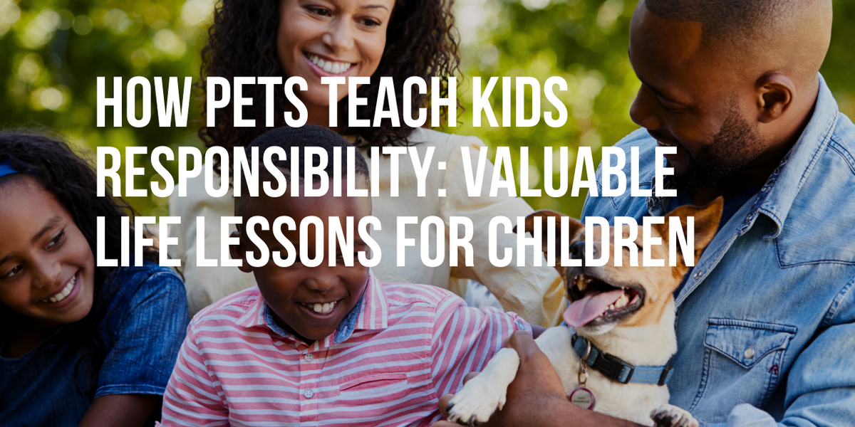 How pets teach kids responsibility: Valuable life lessons for Children ...