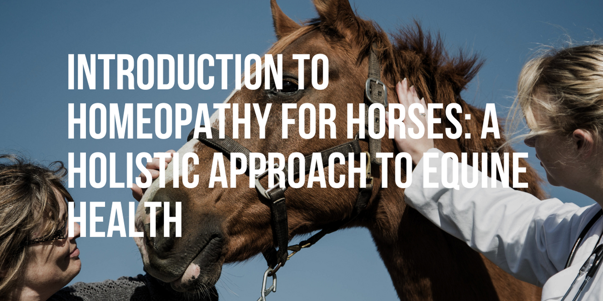 Introduction to Homeopathy for Horses: A Holistic Approach to Equine ...