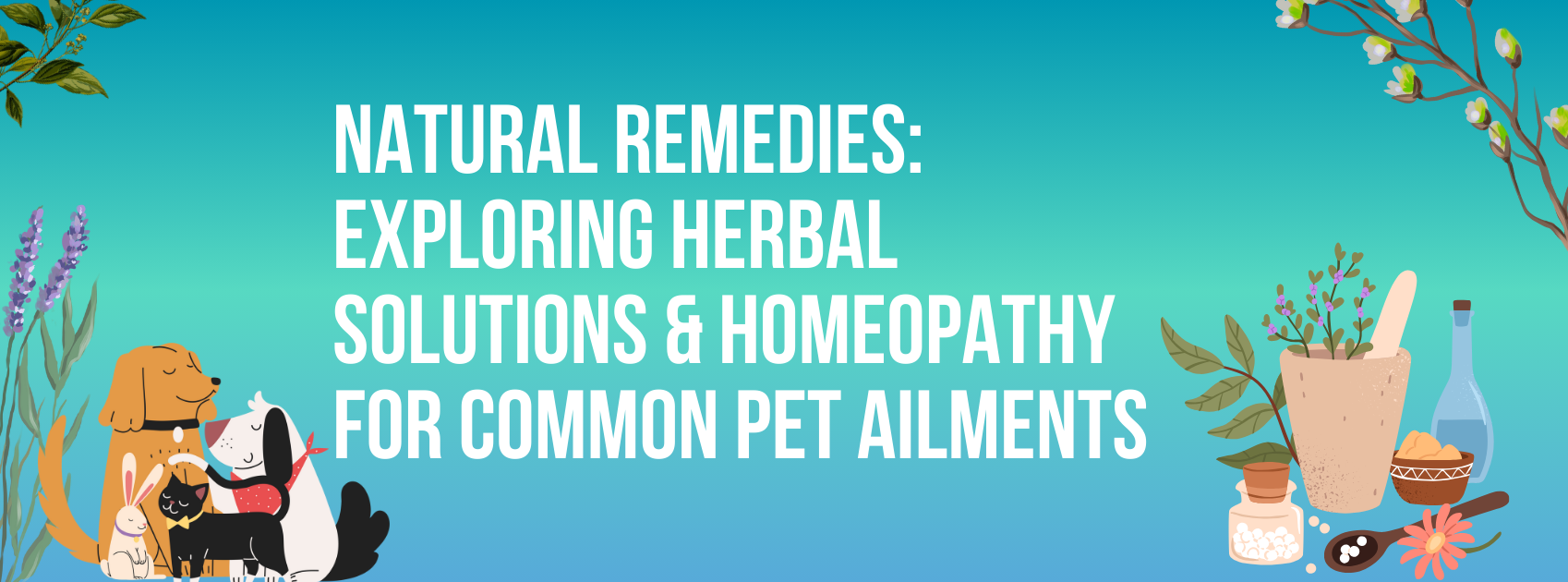 Natural Remedies: Exploring Herbal Solutions & Homeopathy for Common ...