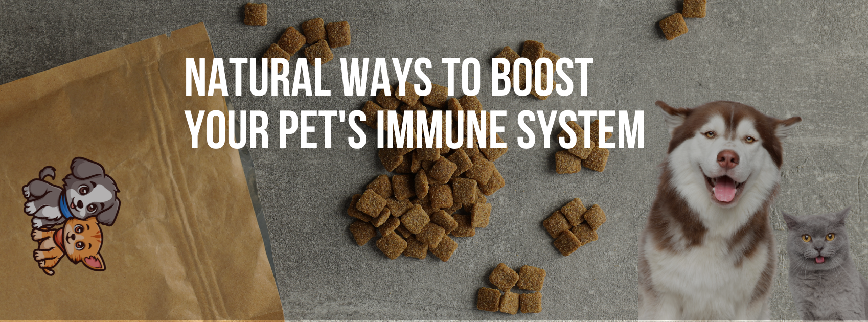 Natural Ways to Boost Your Pet's Immune System – Healthy Animals 4Ever