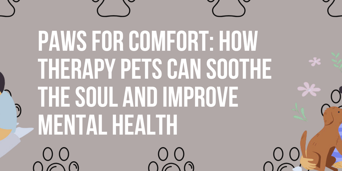 Paws for Comfort: How Therapy Pets Can Soothe the Soul and Improve ...