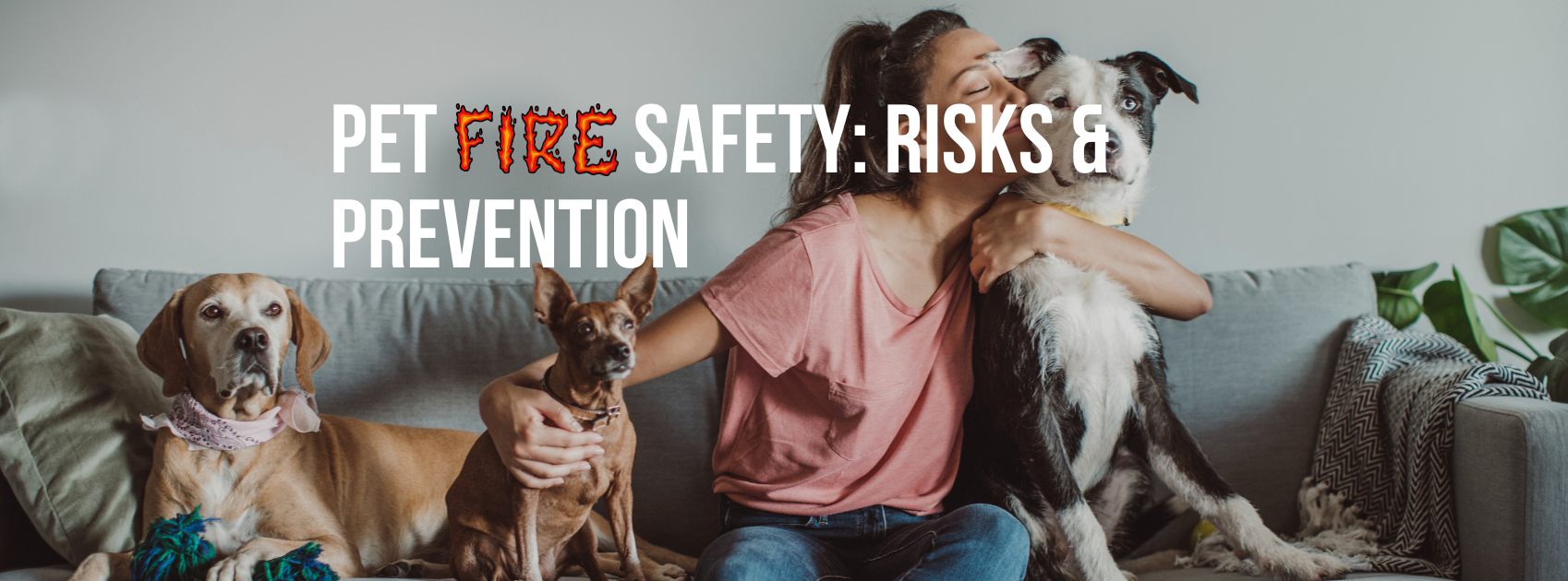 Pet Fire Safety: Risks & Prevention – Healthy Animals 4Ever