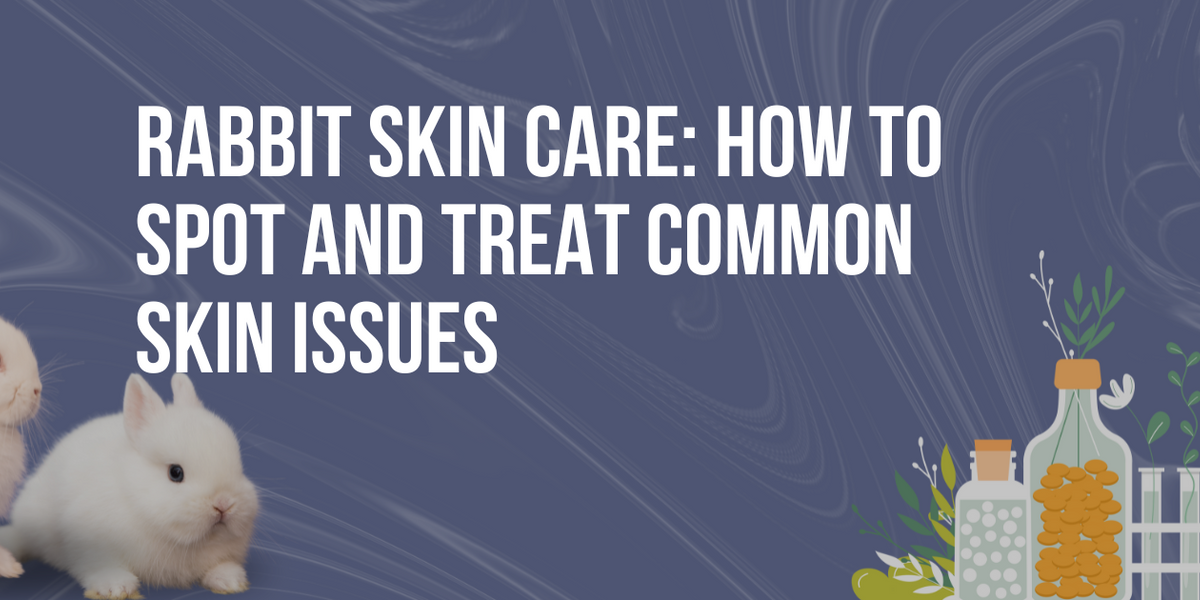 Rabbit Skin Care: How to Spot and Treat Common Skin Issues — Healthy ...