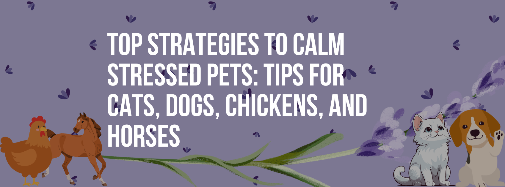 Top Strategies to Calm Stressed Pets: Tips for Cats, Dogs, Chickens ...