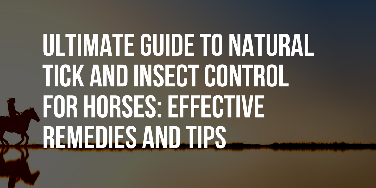Ultimate Guide to Natural Tick and Insect Control for Horses: Effective ...