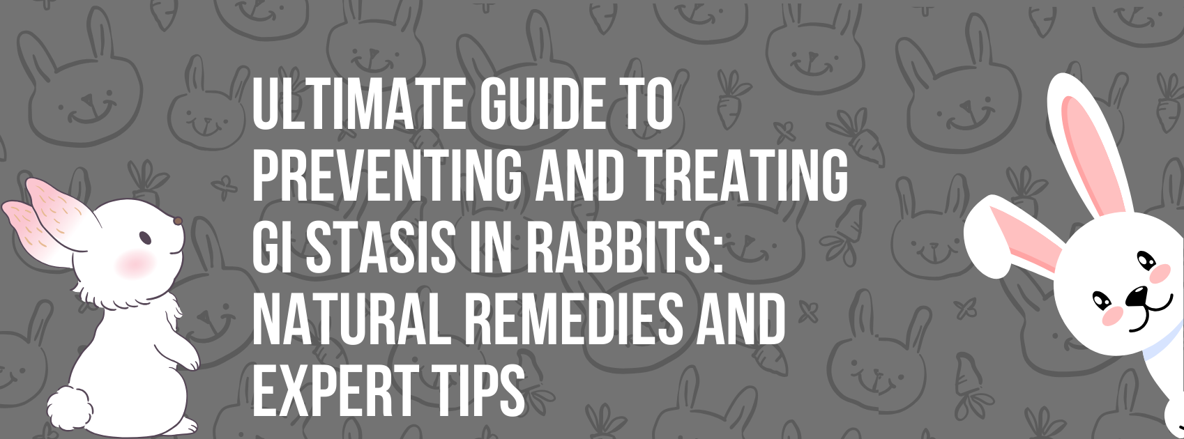 Ultimate Guide to Preventing and Treating GI Stasis in Rabbits: Natural ...
