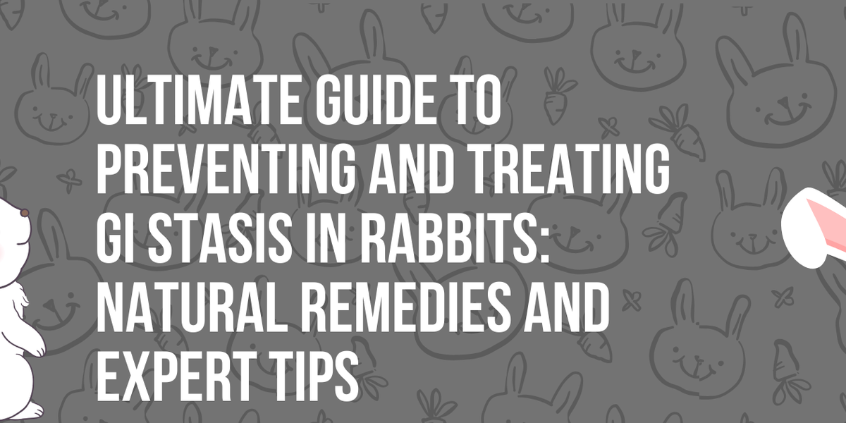 Ultimate Guide to Preventing and Treating GI Stasis in Rabbits: Natural ...