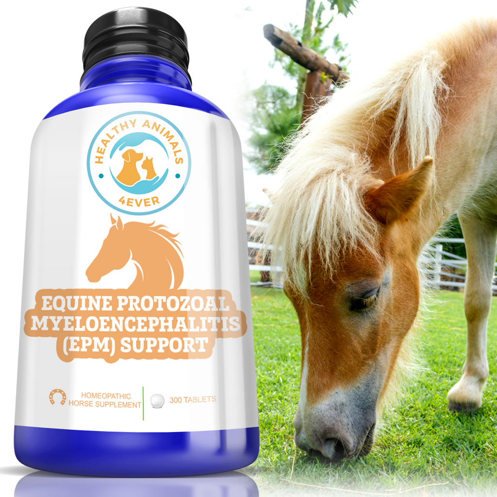 Horse Products — Healthy Animals 4Ever