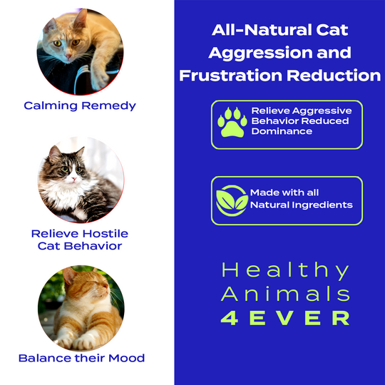 5 Natural Remedies for Rabbits Every Owner Should Know About – Healthy ...