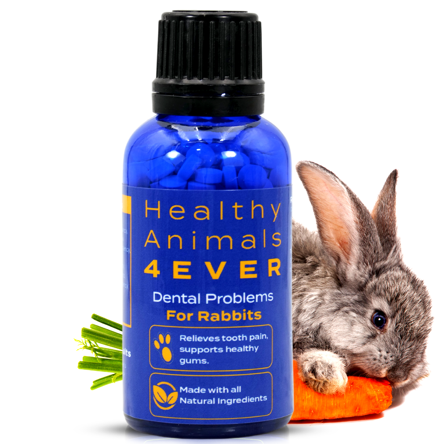Dental Problems Remedy for Rabbits – Healthy Animals 4Ever