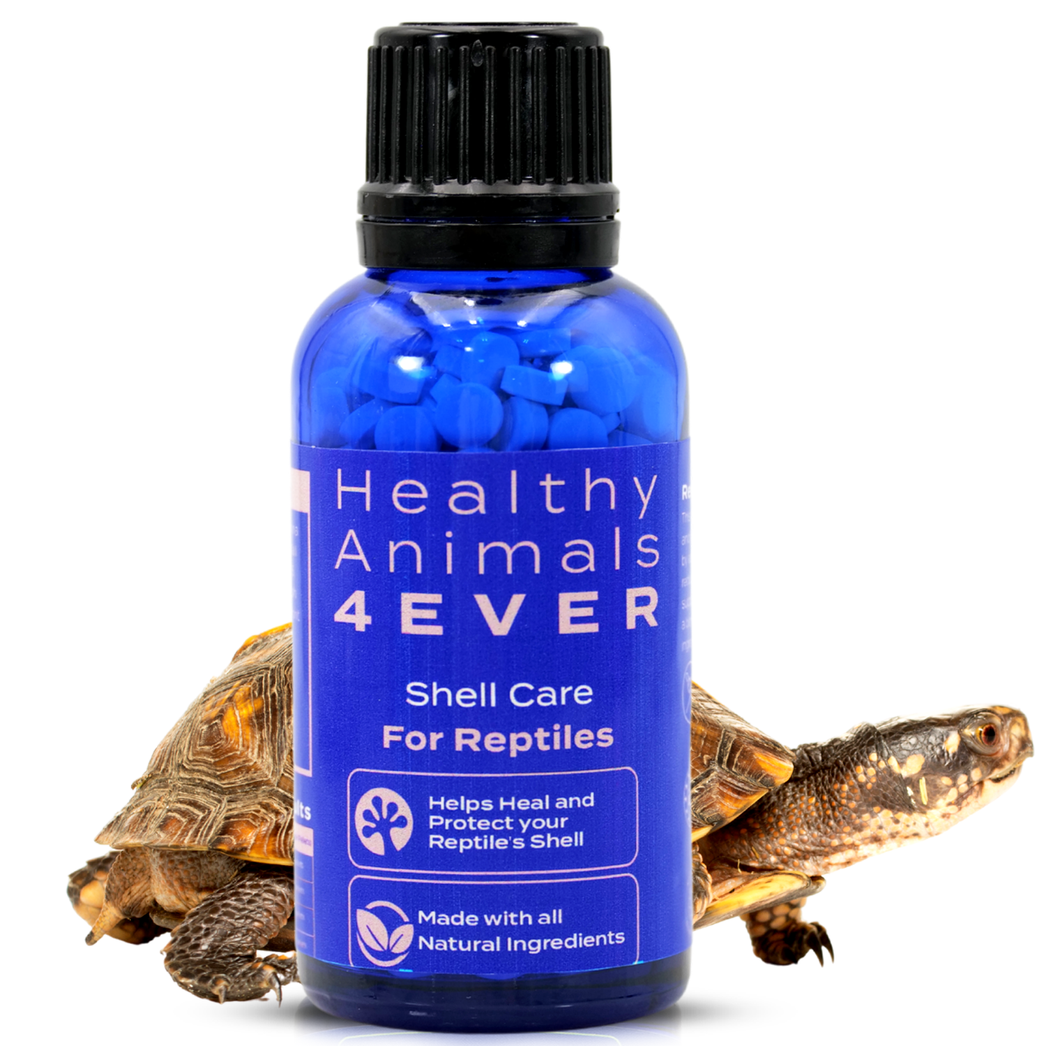 Reptile Shell Care - Natural Support for Shell Rot, Tissue Repair & He ...