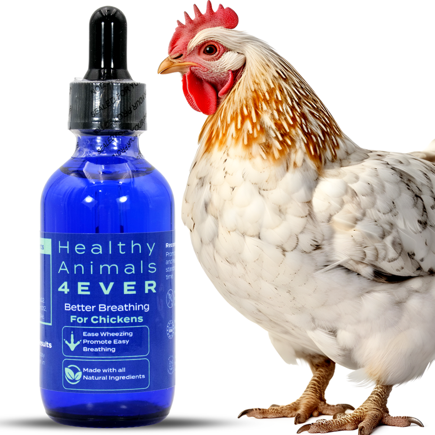 Mange Relief for Dogs - Treatment for Itchiness, Scabs, & Hair Loss Ca ...