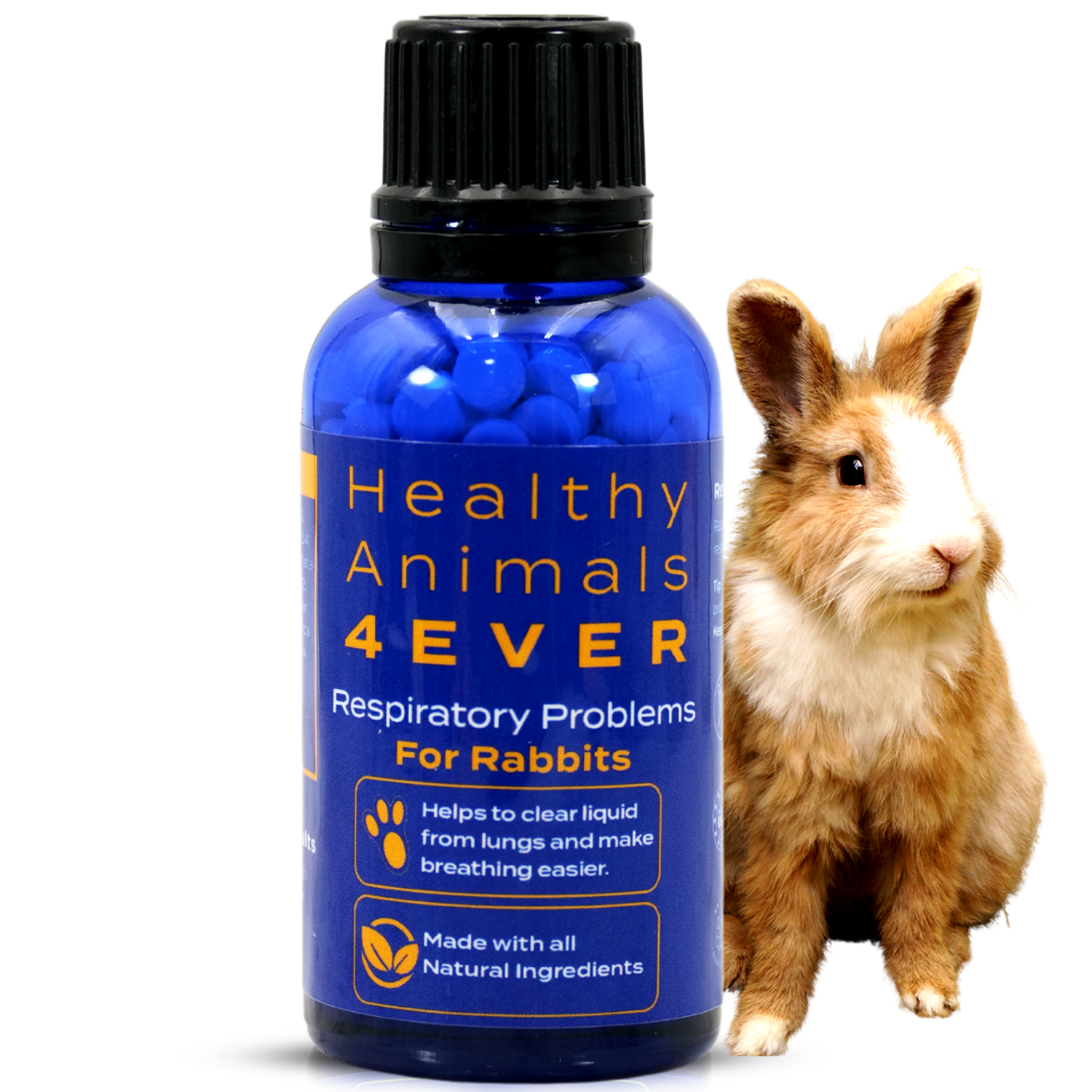 Respiratory Infection Remedy for Rabbits – Healthy Animals 4Ever