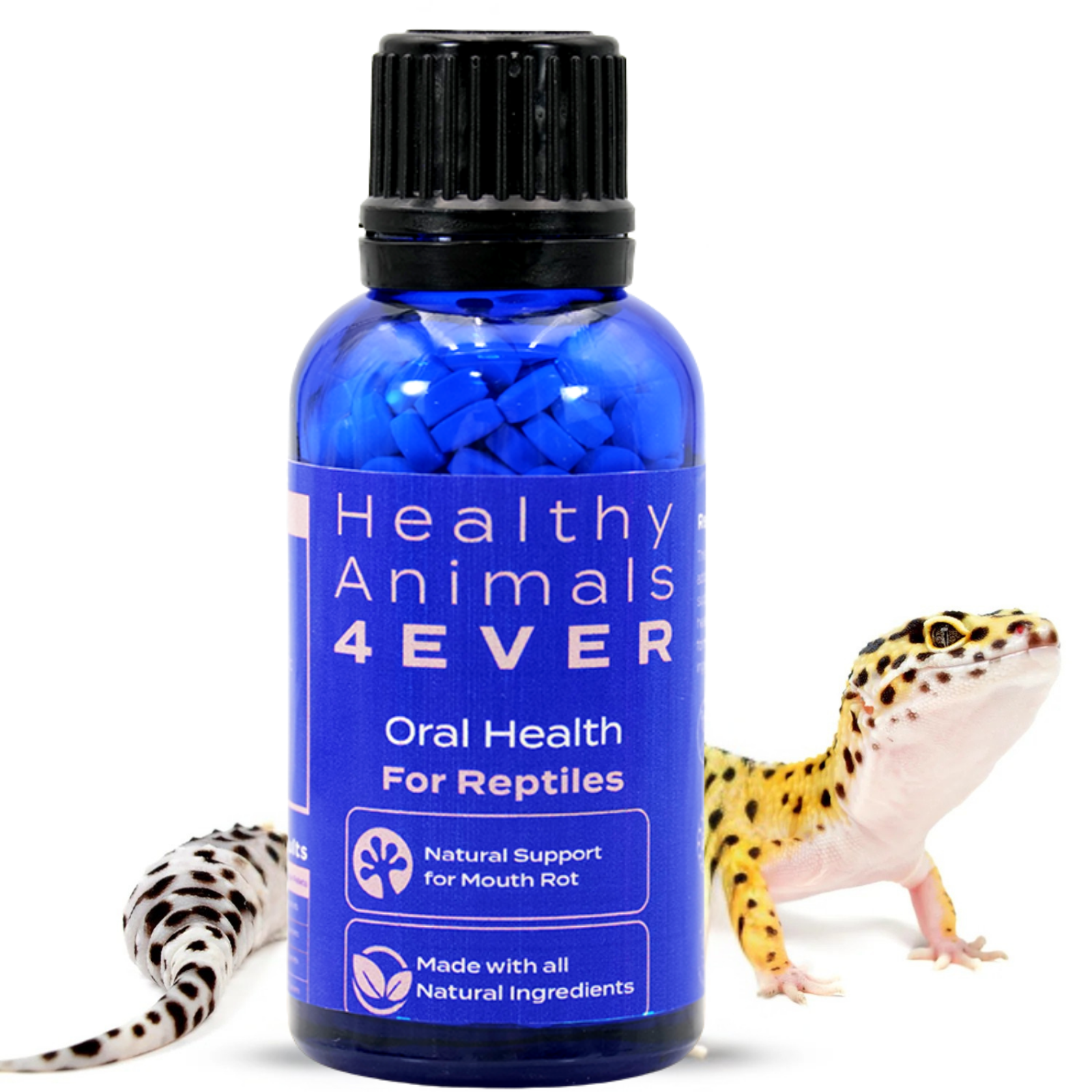 Healthy Animals 4Ever